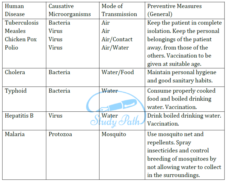 Microorganisms Friend and Foe Class 8 Important Questions and Answers