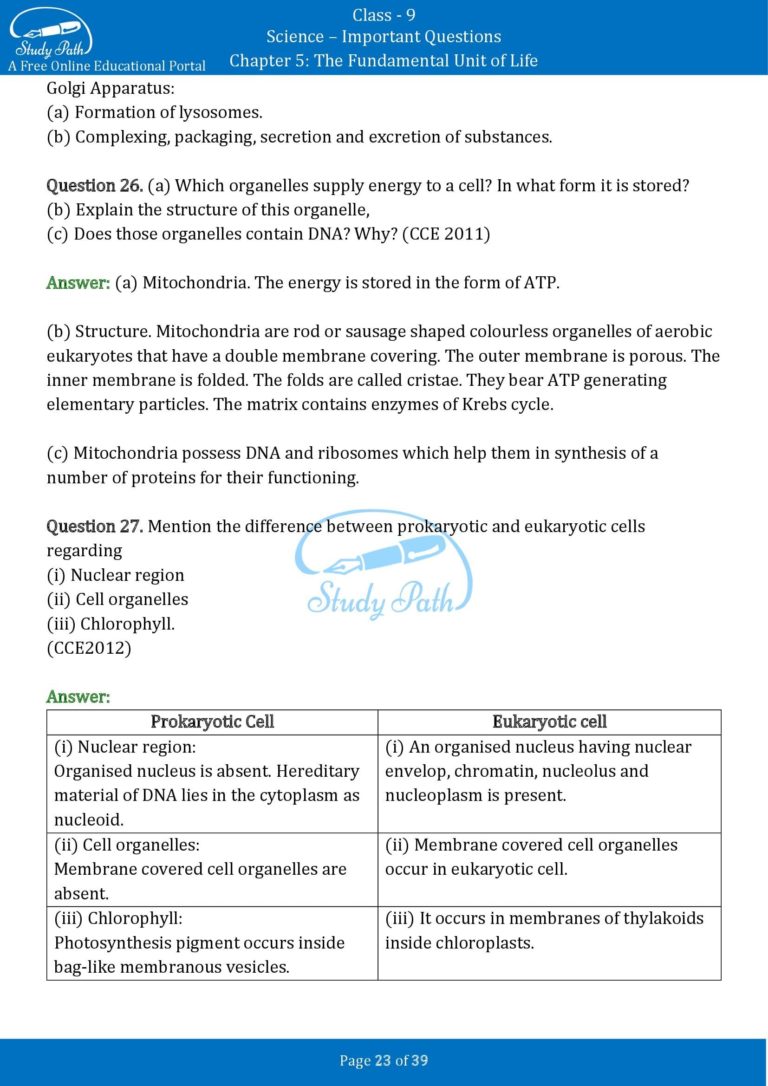 Important Questions for Class 9 Science Chapter 5 The Fundamental Unit ...