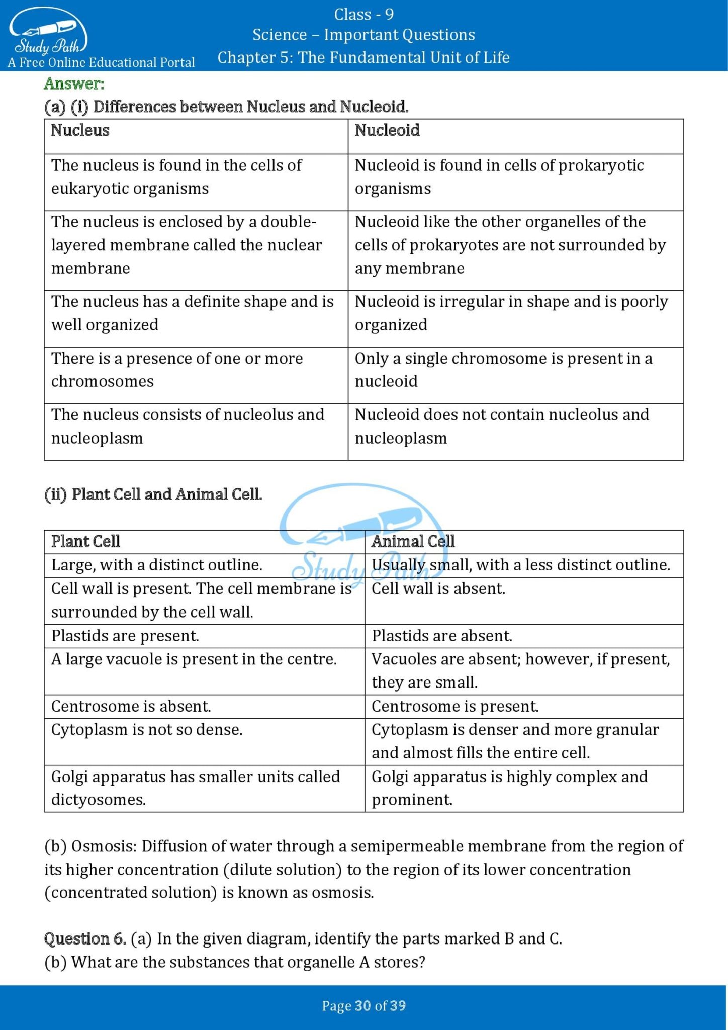Important Questions for Class 9 Science Chapter 5 The Fundamental Unit ...