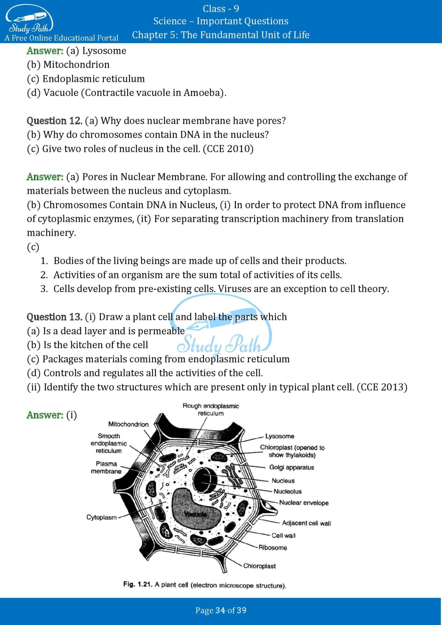 Important Questions for Class 9 Science Chapter 5 The Fundamental Unit ...