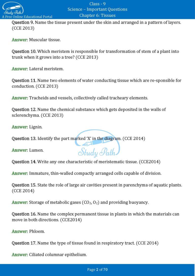 Important Questions for Class 9 Science Chapter 6 Tissues – Study Path