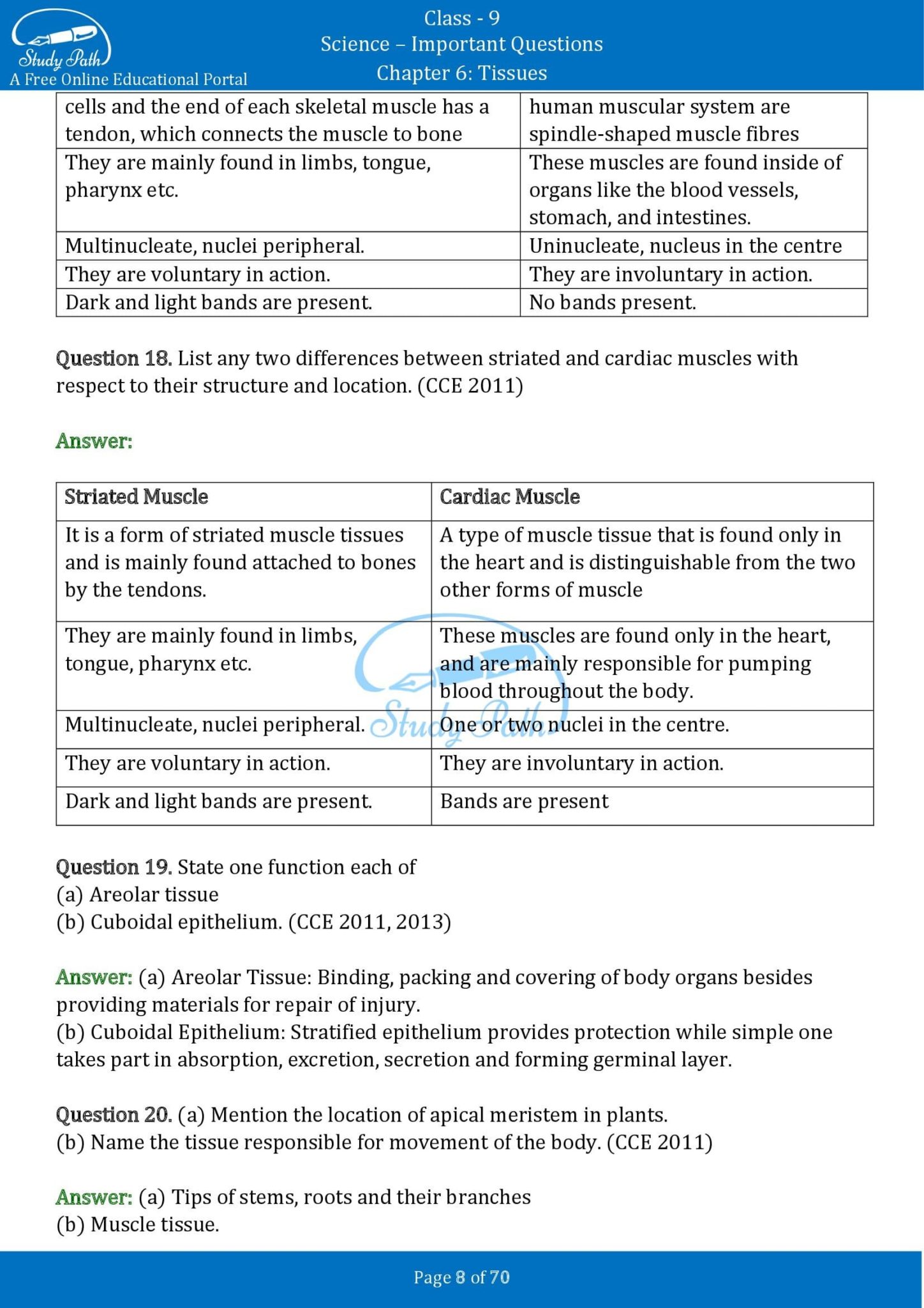 Important Questions for Class 9 Science Chapter 6 Tissues – Study Path
