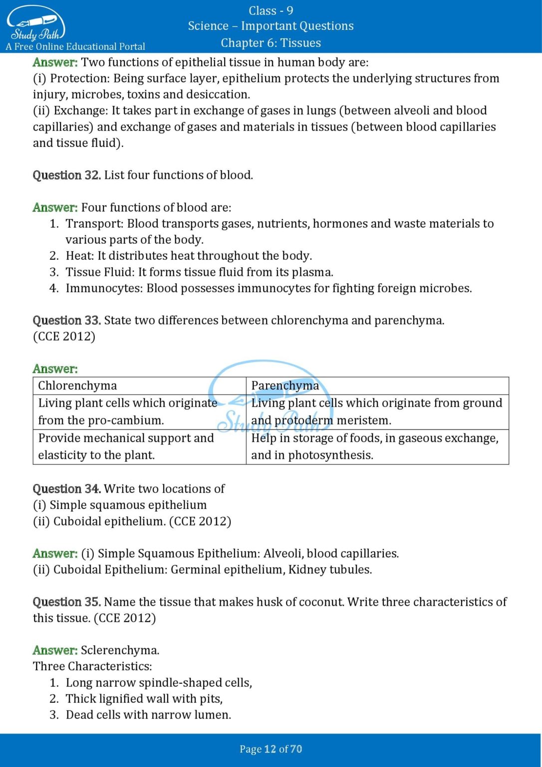 Important Questions for Class 9 Science Chapter 6 Tissues – Study Path
