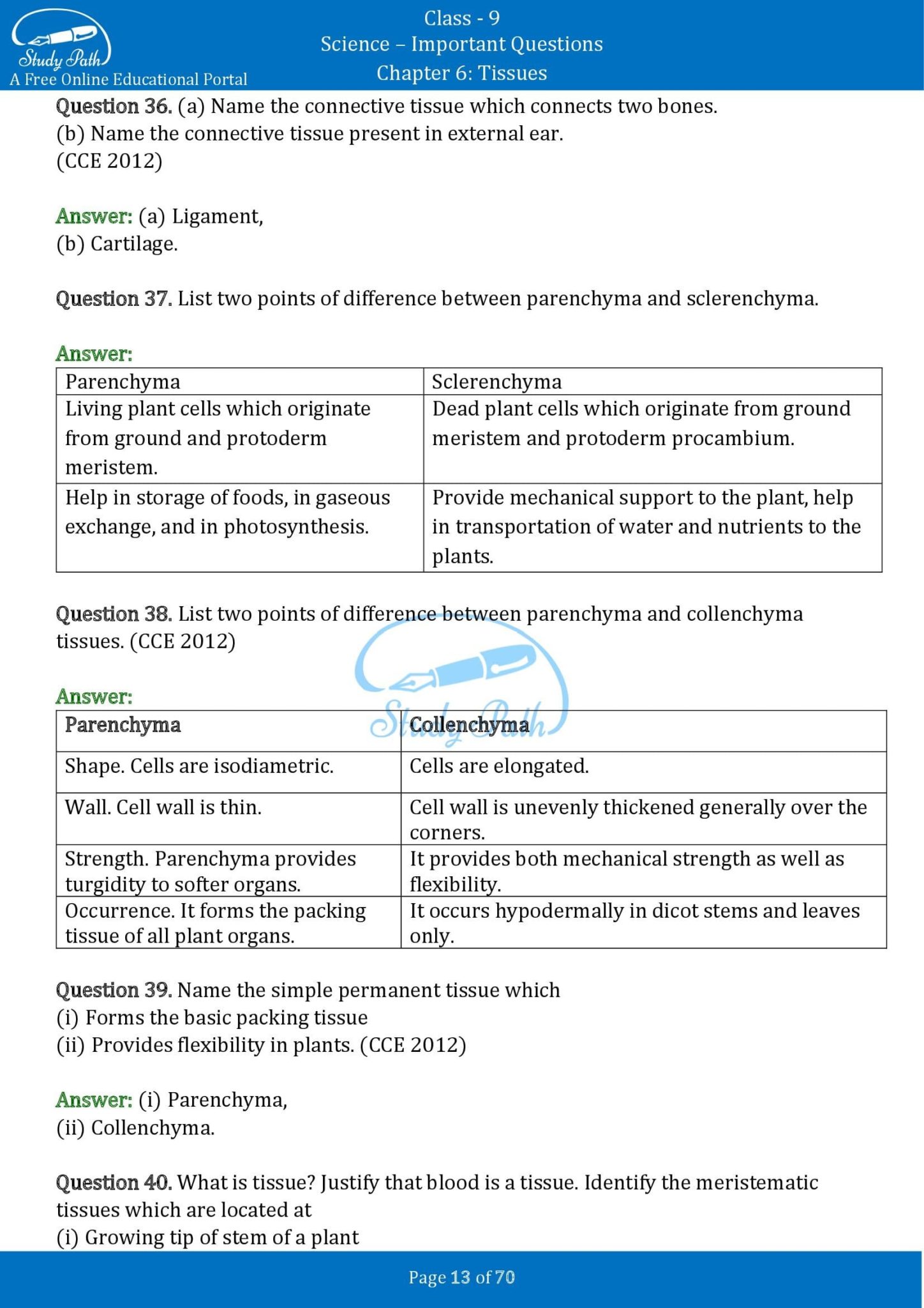 Important Questions for Class 9 Science Chapter 6 Tissues – Study Path