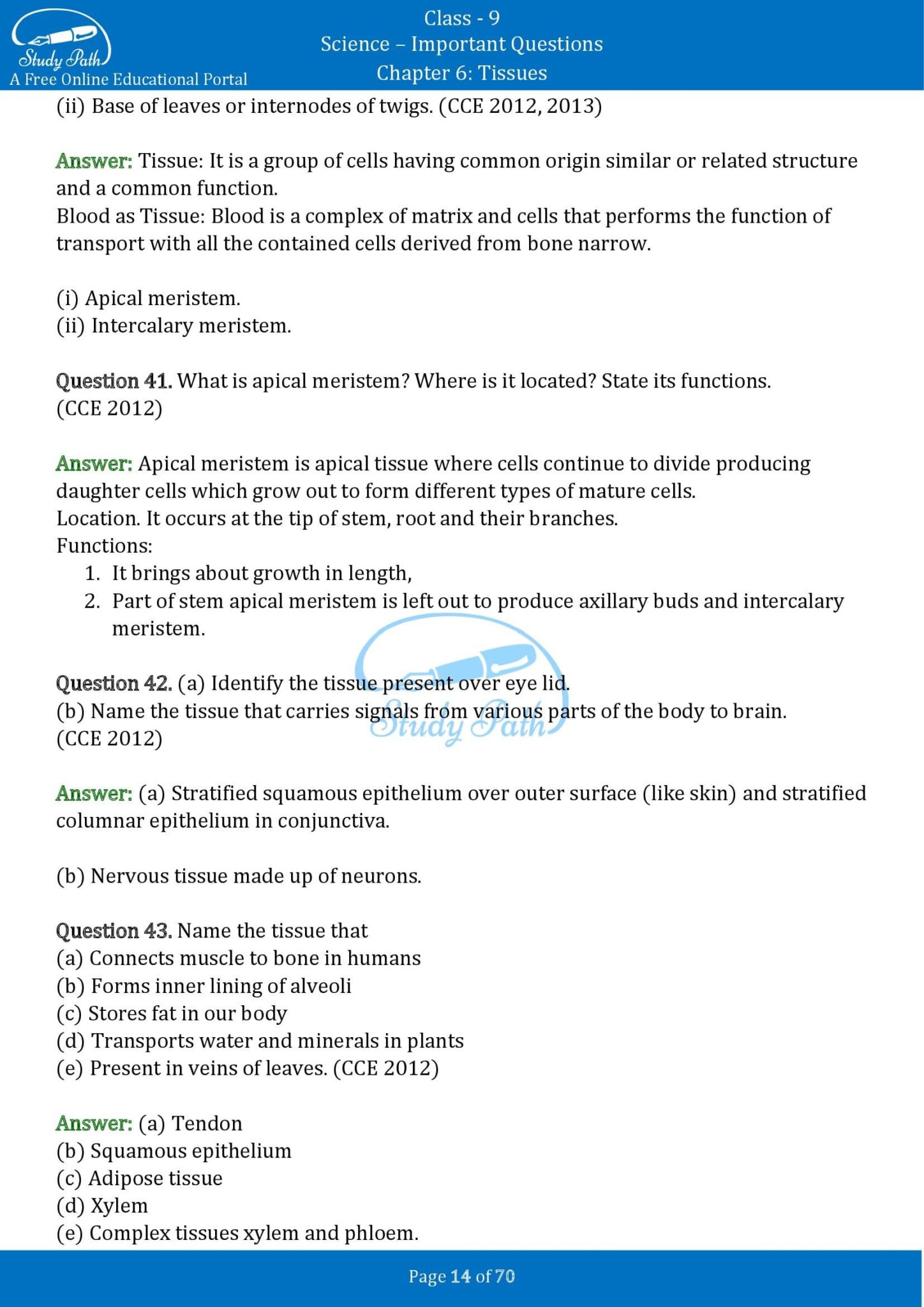 Important Questions for Class 9 Science Chapter 6 Tissues – Study Path