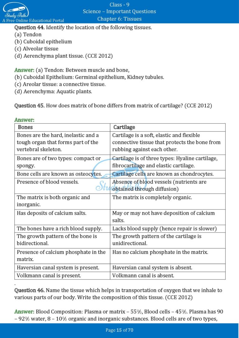 Important Questions for Class 9 Science Chapter 6 Tissues – Study Path
