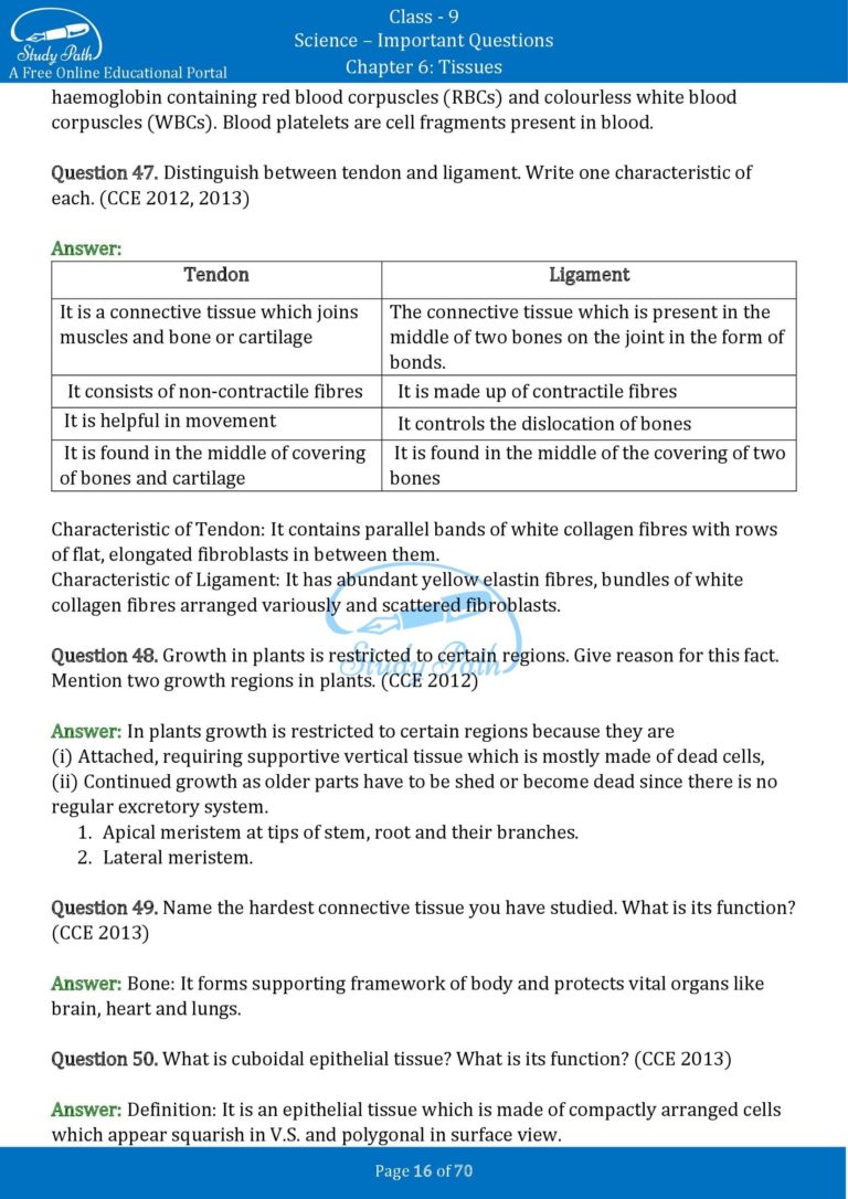 Important Questions for Class 9 Science Chapter 6 Tissues – Study Path