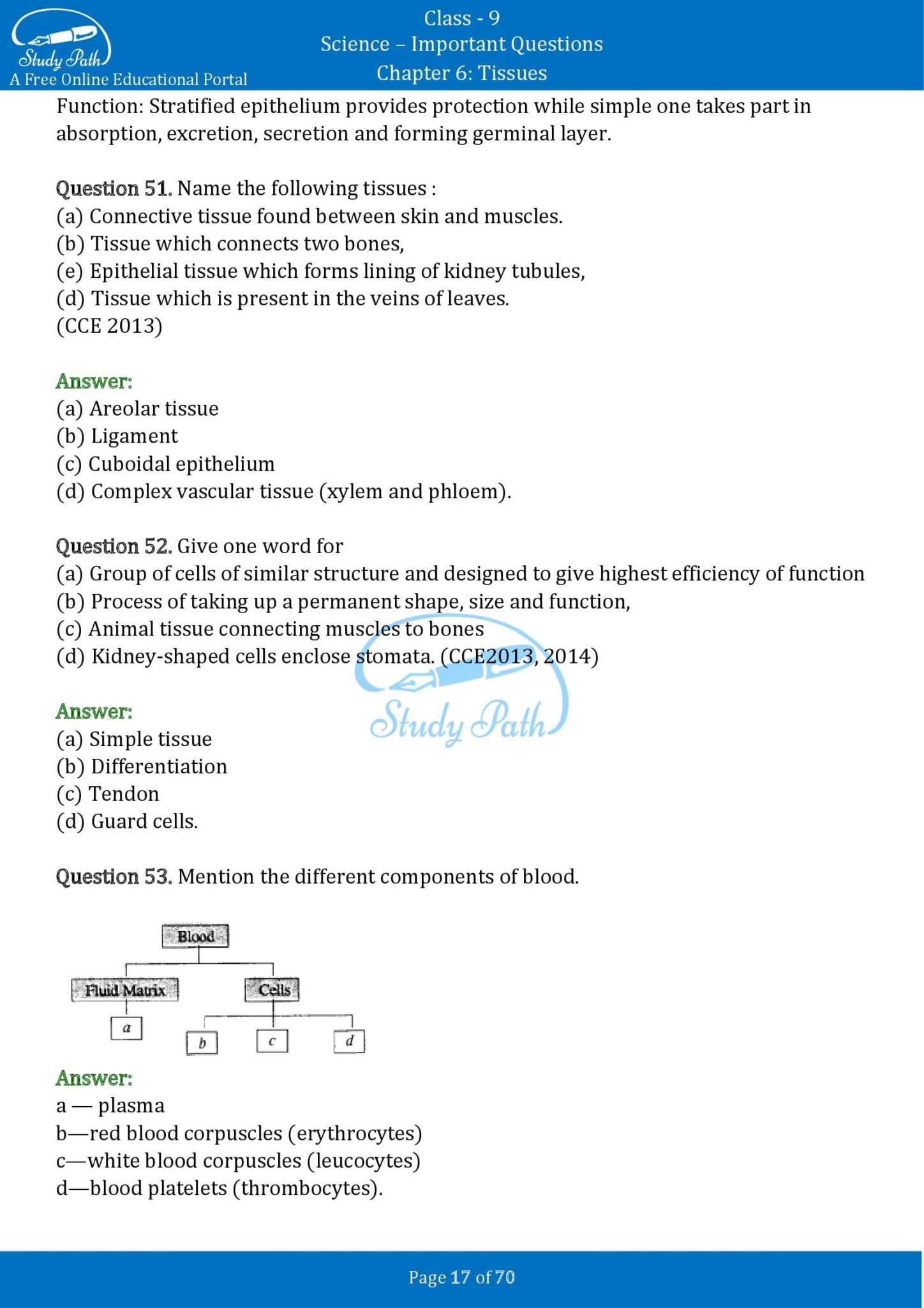 Important Questions for Class 9 Science Chapter 6 Tissues – Study Path