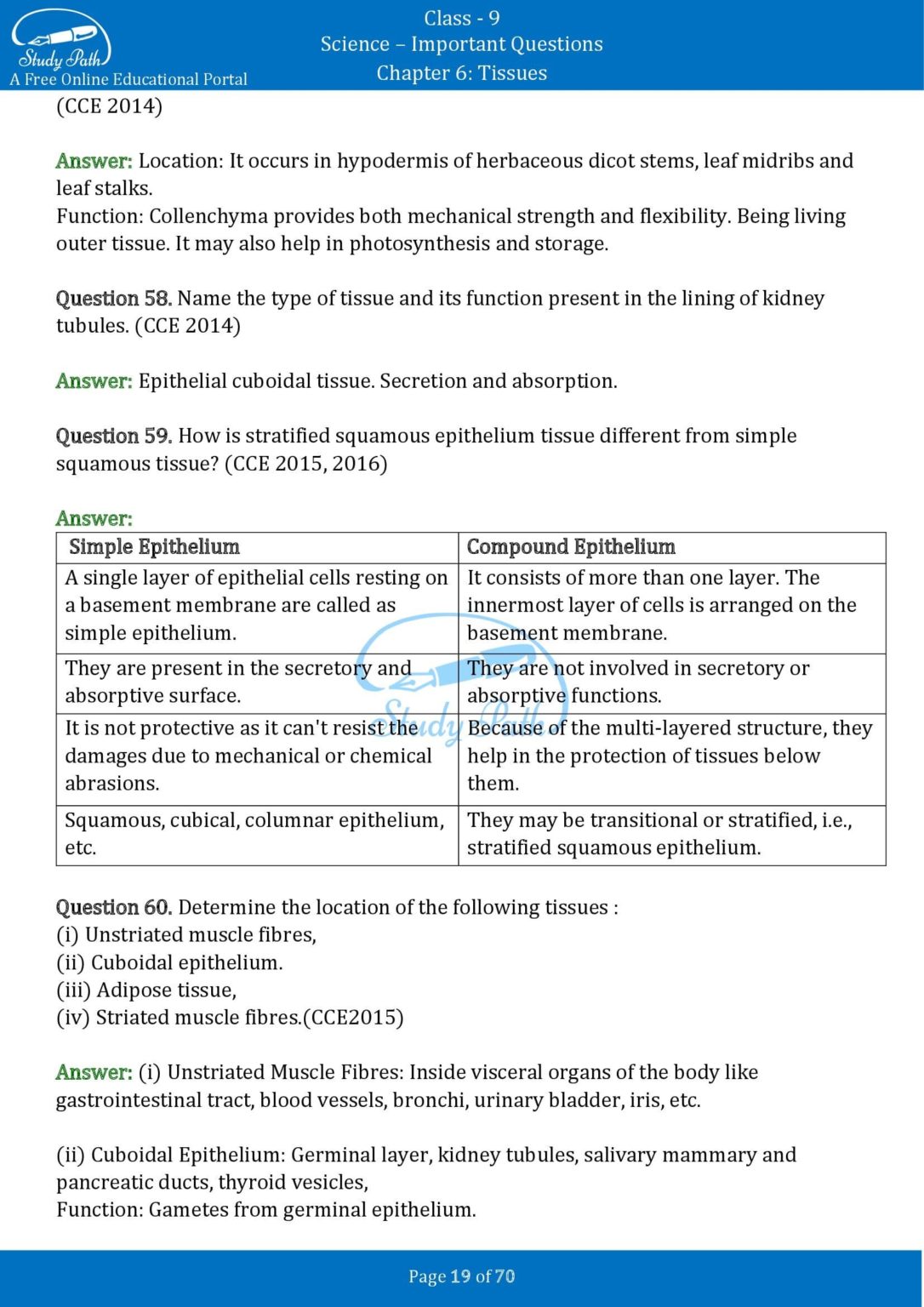 Important Questions for Class 9 Science Chapter 6 Tissues – Study Path