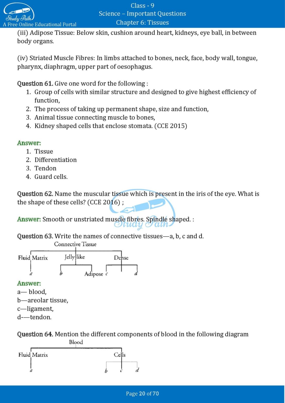 Important Questions for Class 9 Science Chapter 6 Tissues – Study Path
