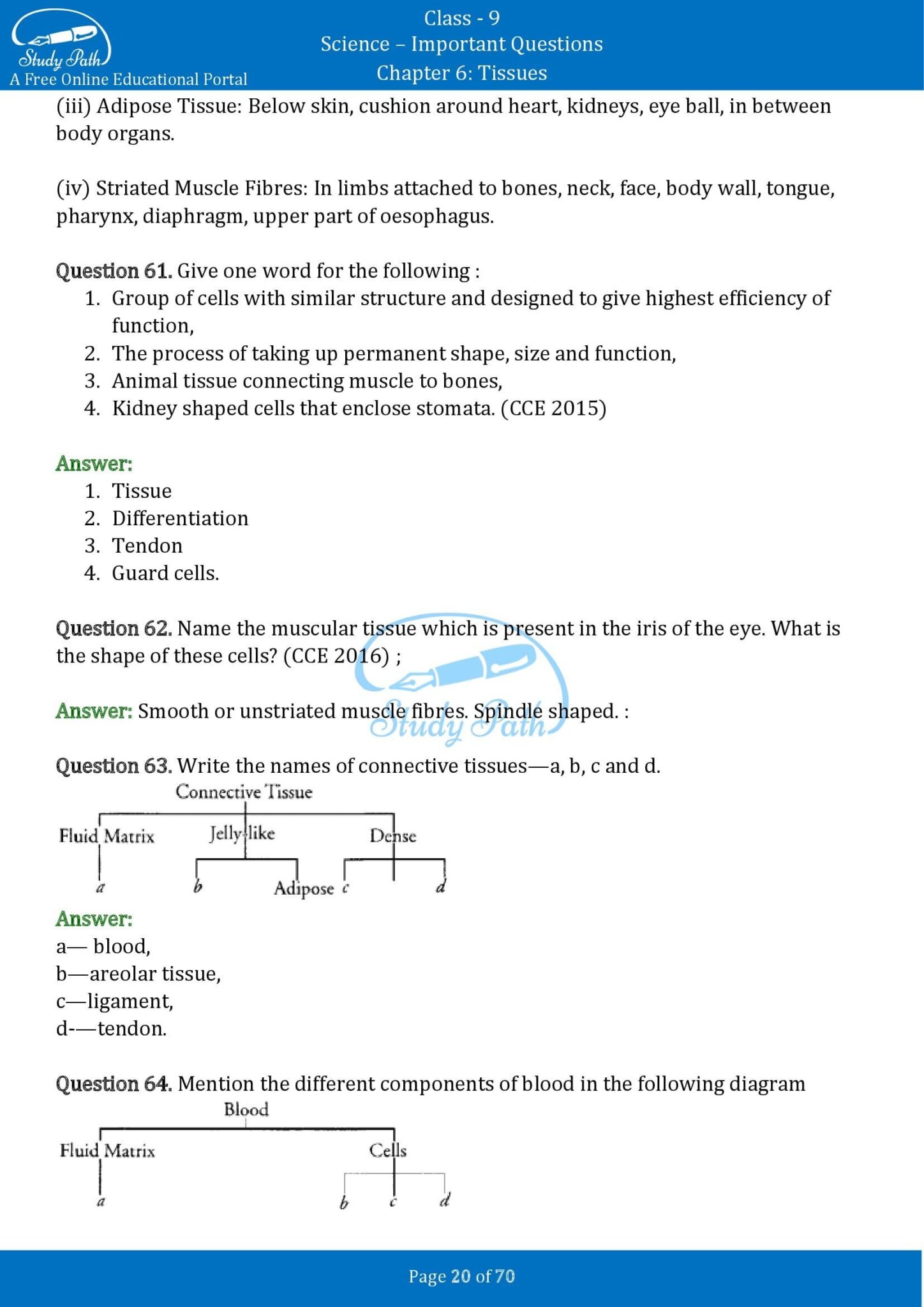 Important Questions for Class 9 Science Chapter 6 Tissues – Study Path