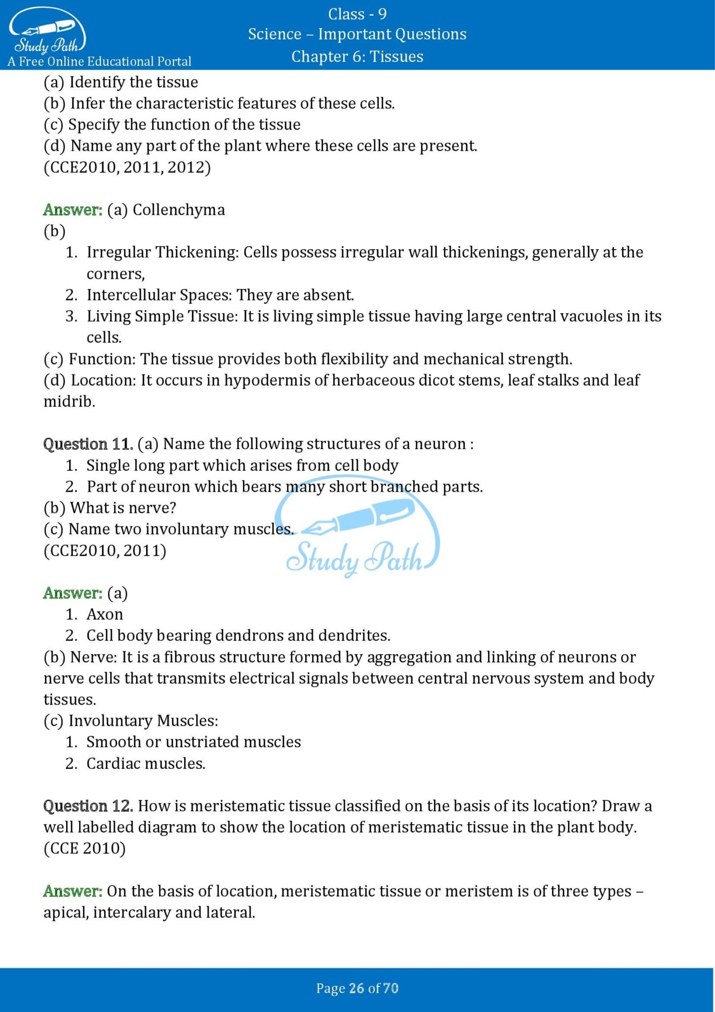 Important Questions for Class 9 Science Chapter 6 Tissues – Study Path