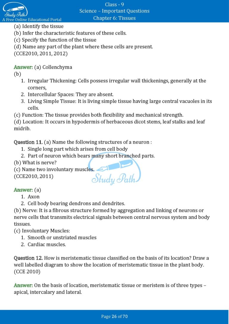Important Questions for Class 9 Science Chapter 6 Tissues – Study Path