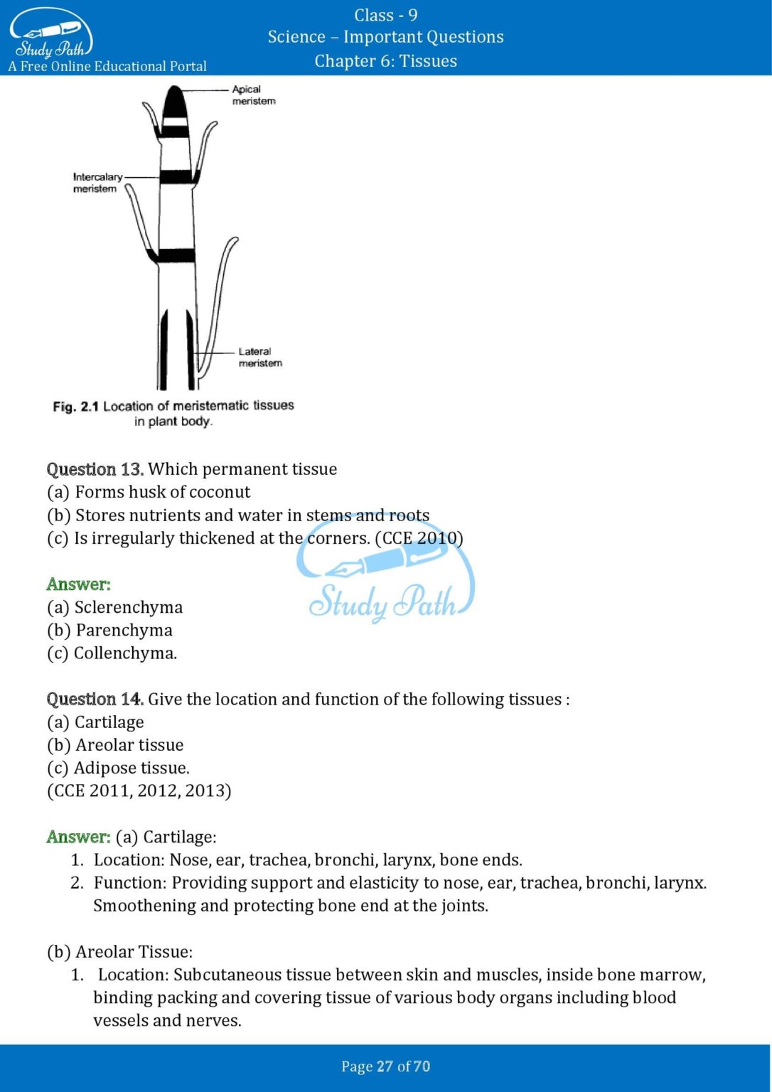 Important Questions for Class 9 Science Chapter 6 Tissues – Study Path