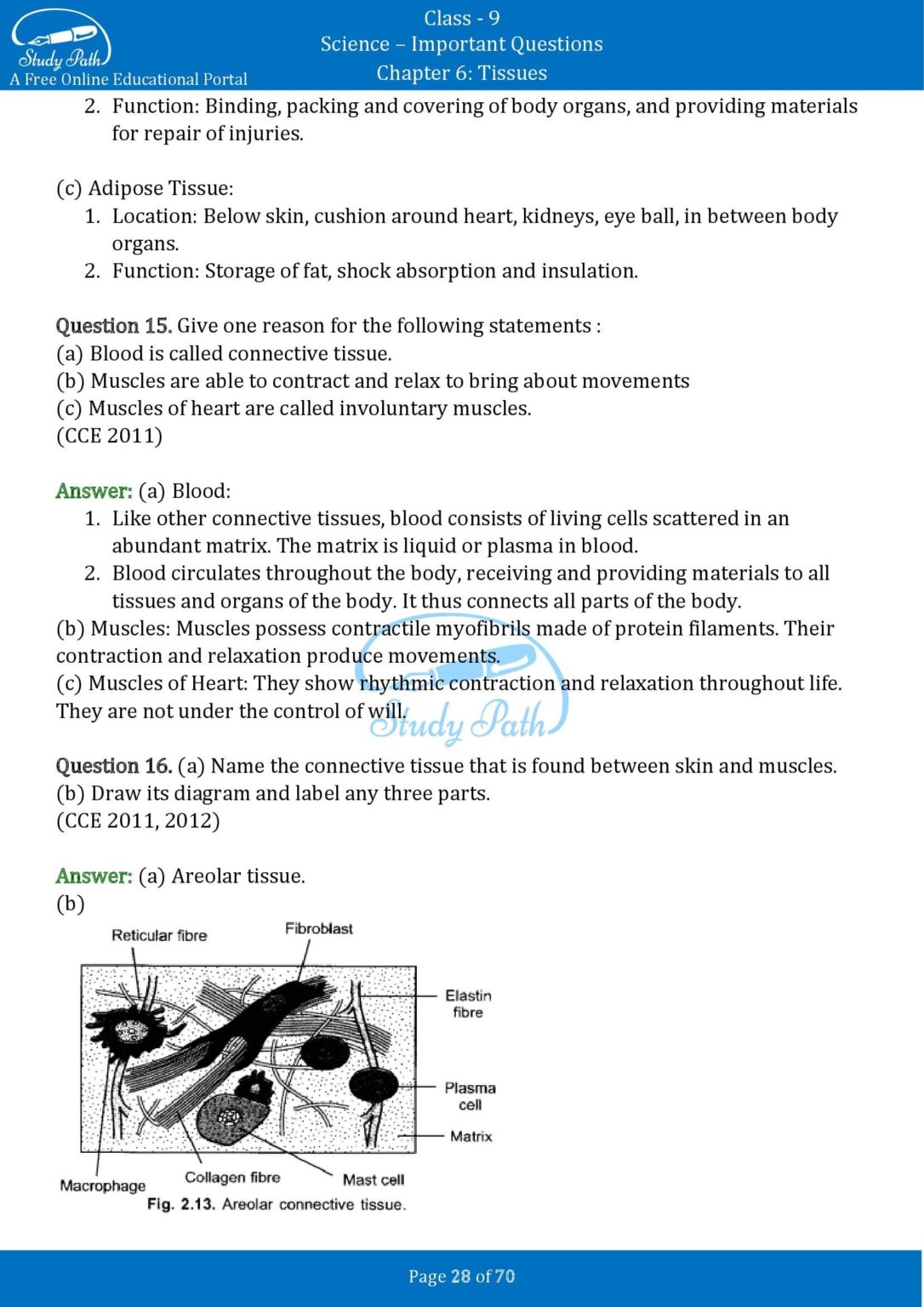 Important Questions for Class 9 Science Chapter 6 Tissues – Study Path