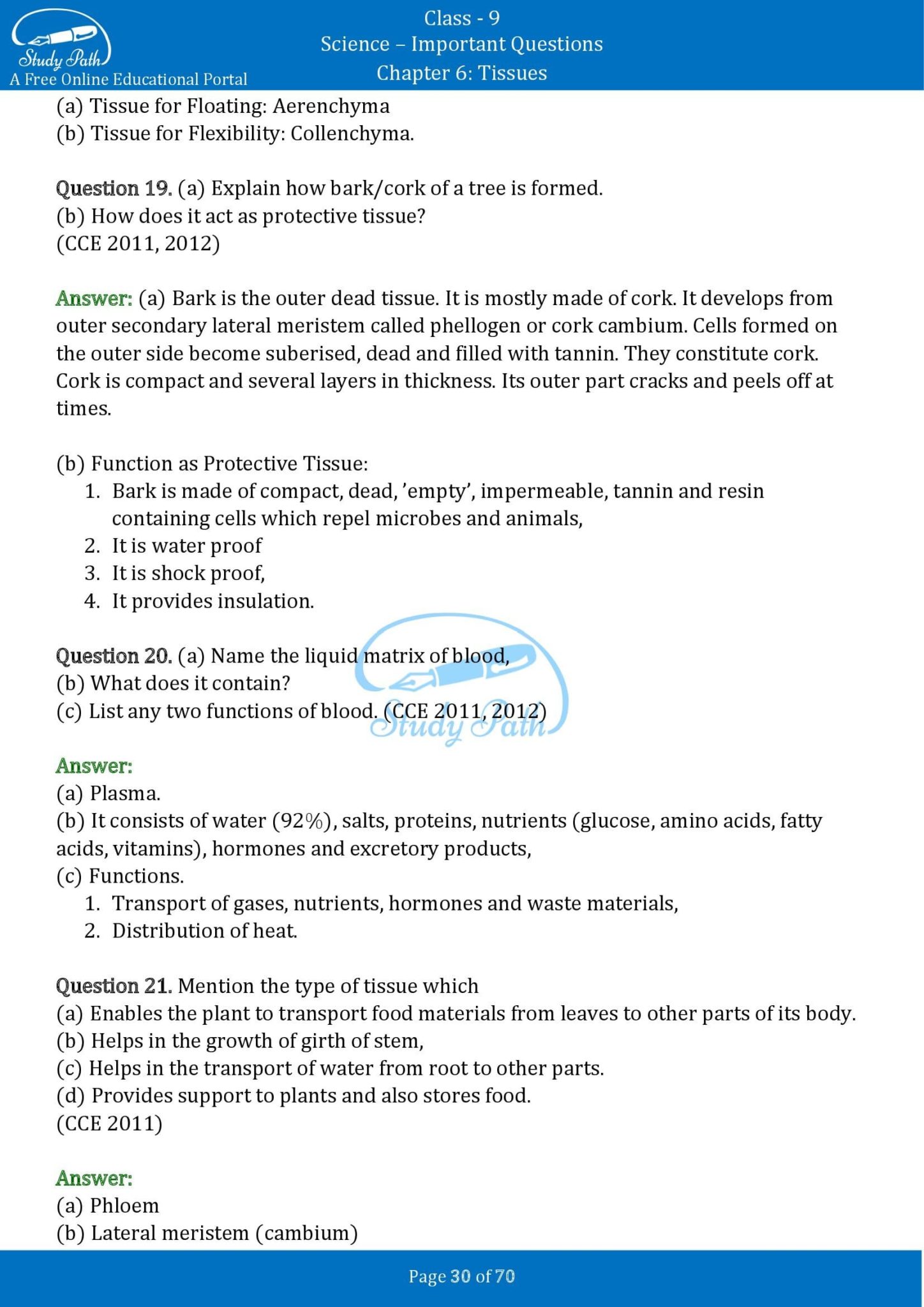 Important Questions for Class 9 Science Chapter 6 Tissues – Study Path