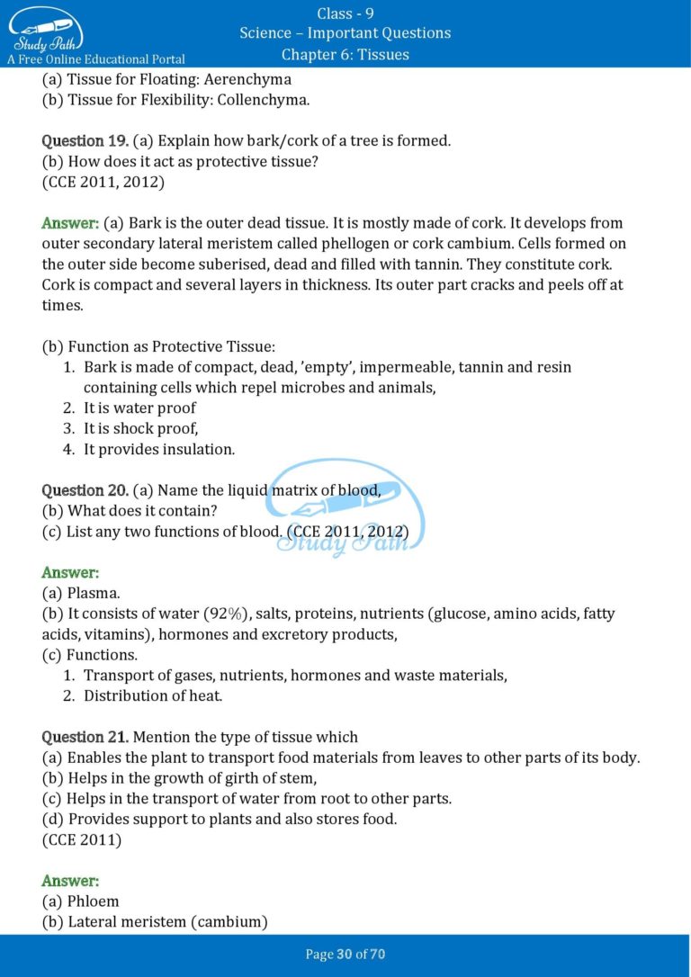 Important Questions for Class 9 Science Chapter 6 Tissues – Study Path