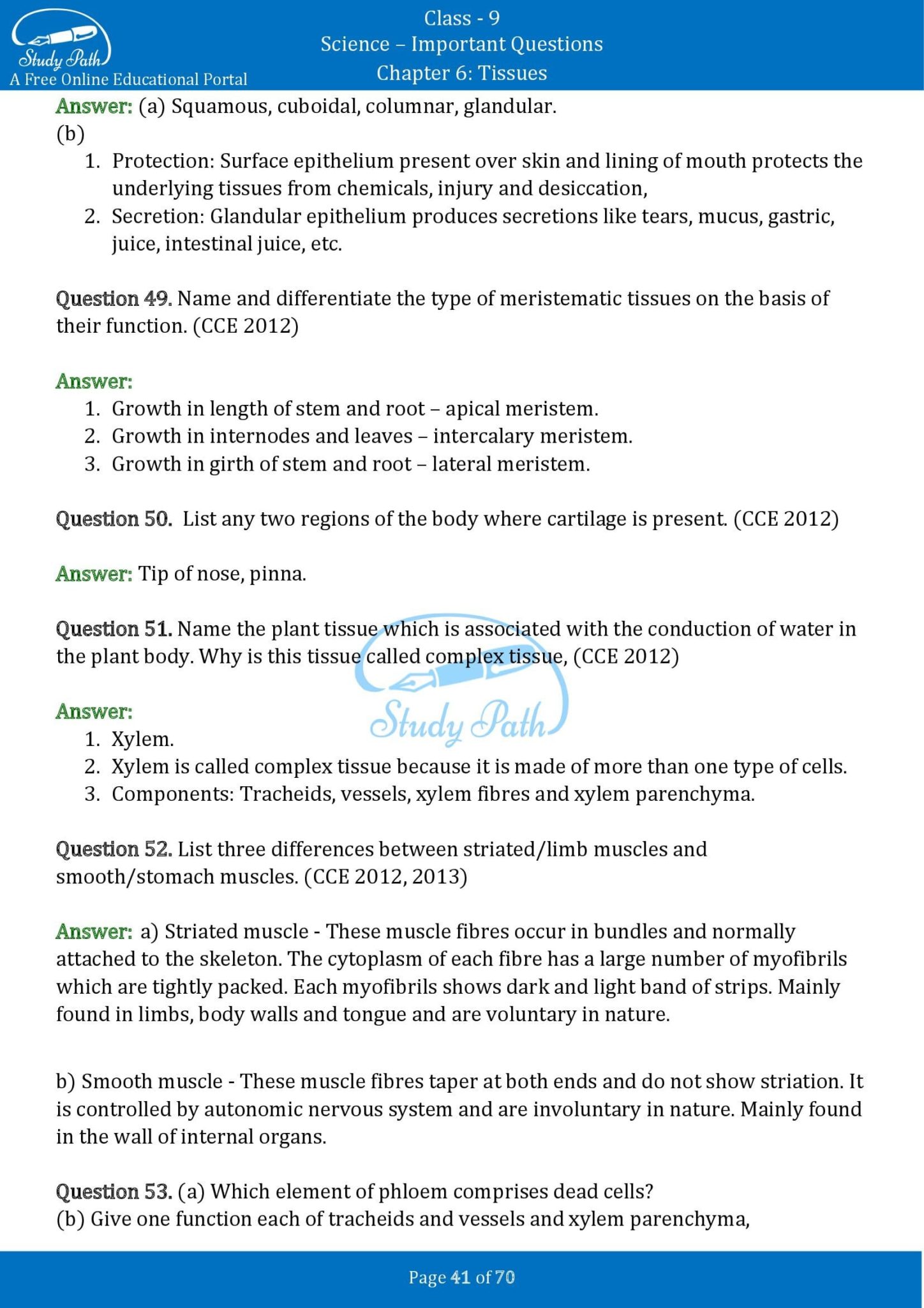 Important Questions for Class 9 Science Chapter 6 Tissues – Study Path