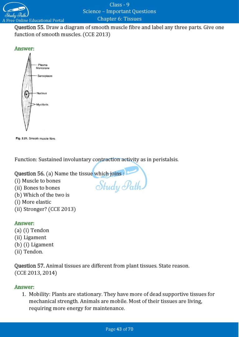 Important Questions for Class 9 Science Chapter 6 Tissues – Study Path
