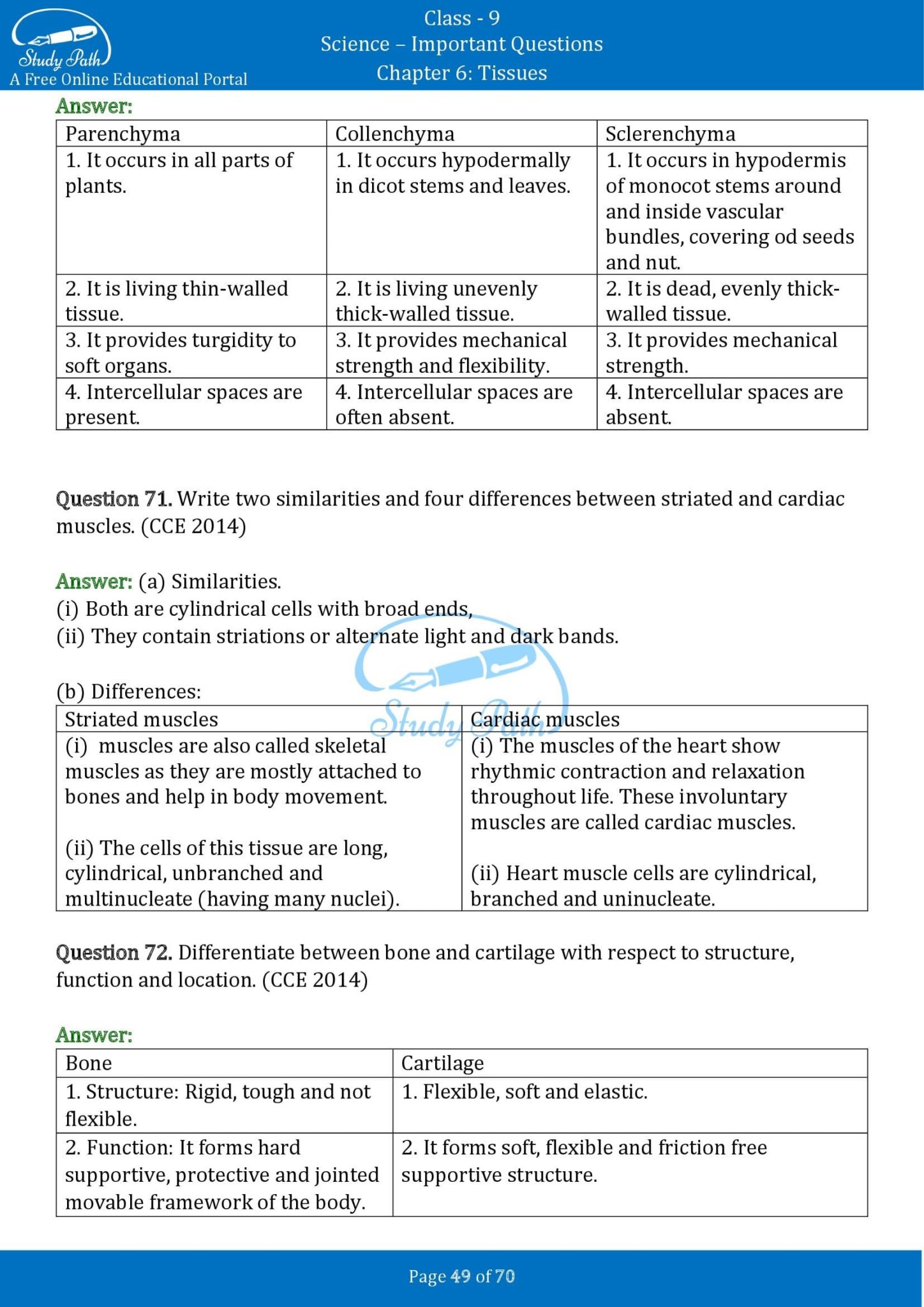 Important Questions for Class 9 Science Chapter 6 Tissues – Study Path