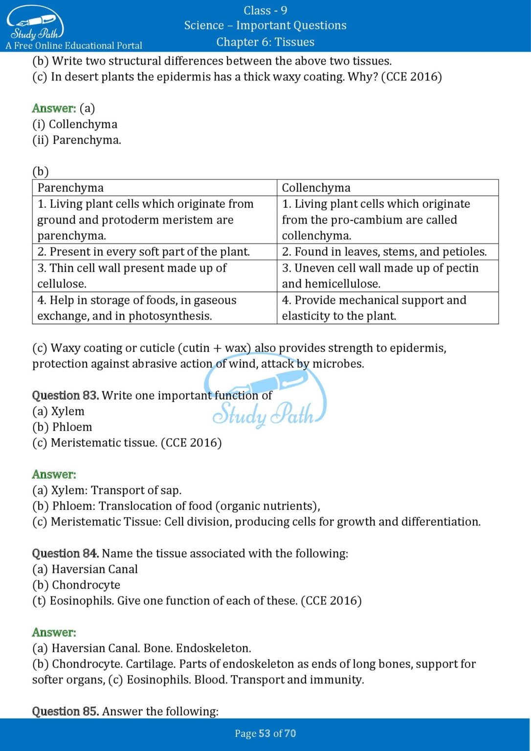 Important Questions for Class 9 Science Chapter 6 Tissues – Study Path