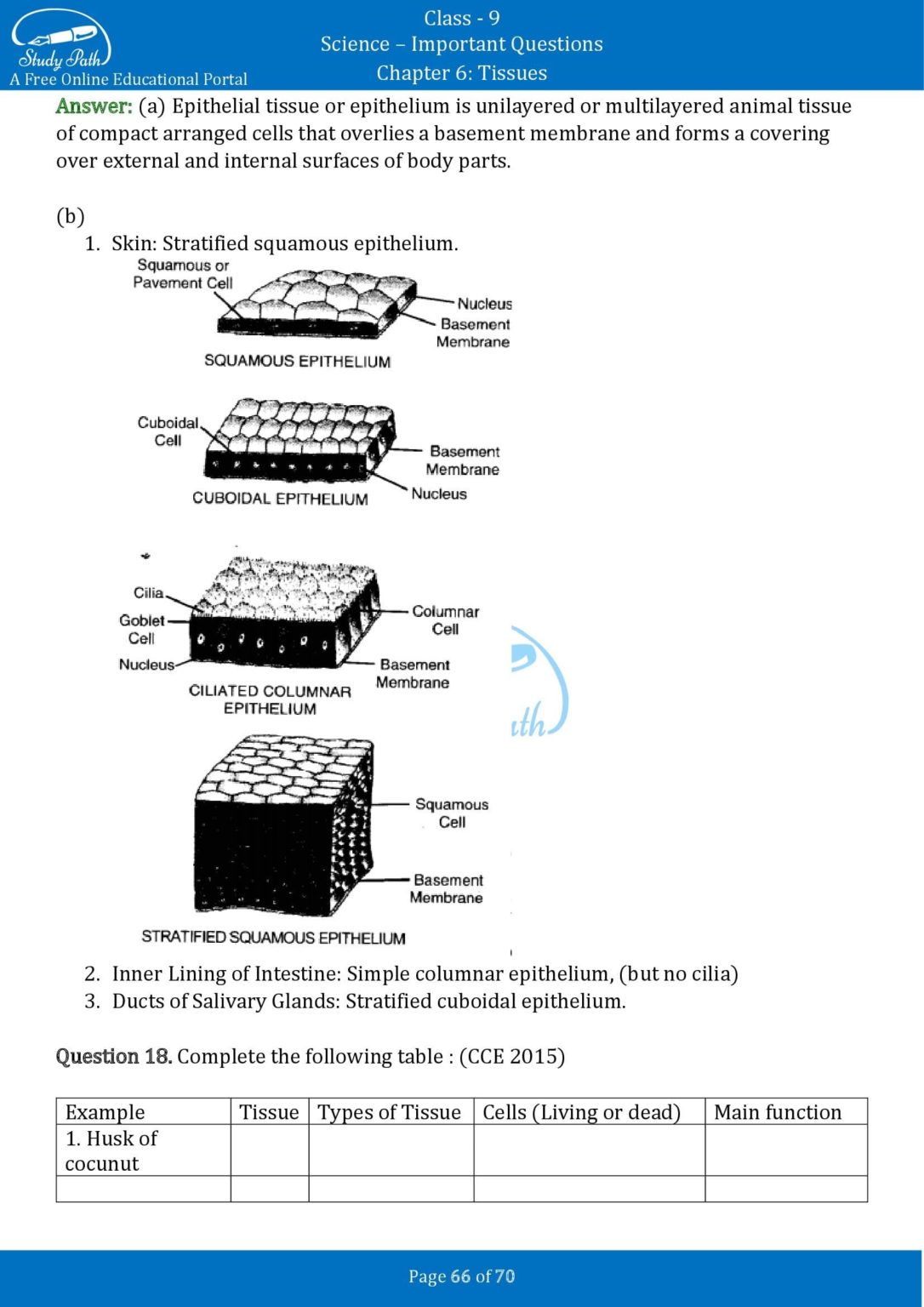 Important Questions for Class 9 Science Chapter 6 Tissues – Study Path